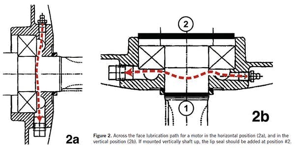 Converting motors from horizontal mount to vertical mount | Plant Services