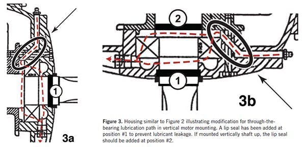 Converting motors from horizontal mount to vertical mount | Plant Services