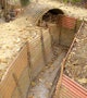 be-a-trenches-contributor-plant-services
